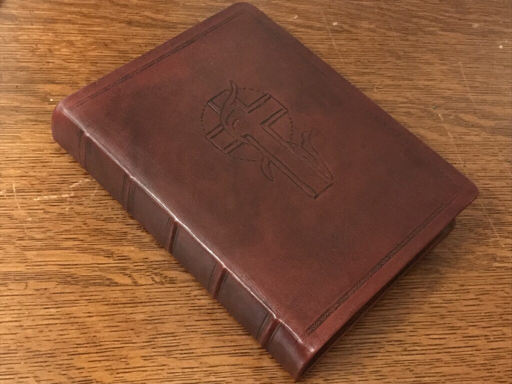 Leather-Lined English Calfskin | Leonard's Book Restoration