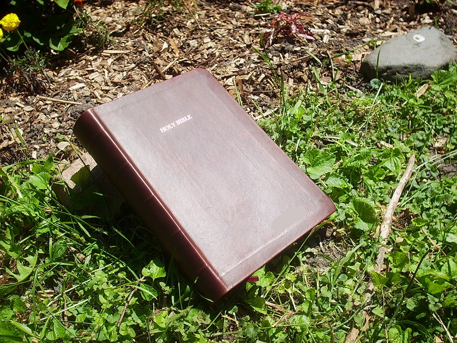 Rustic Look | Leonard's Book Restoration
